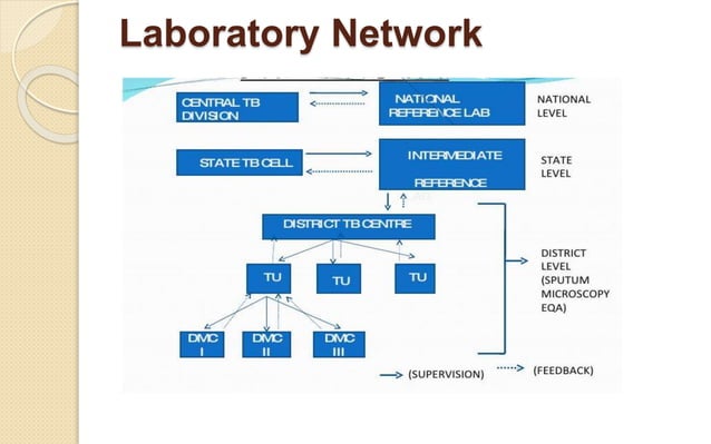 Revised national tuberculosis control programme (RNTCP) in India | PPTX ...