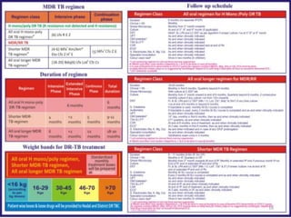 RNTCP programme.pdf
