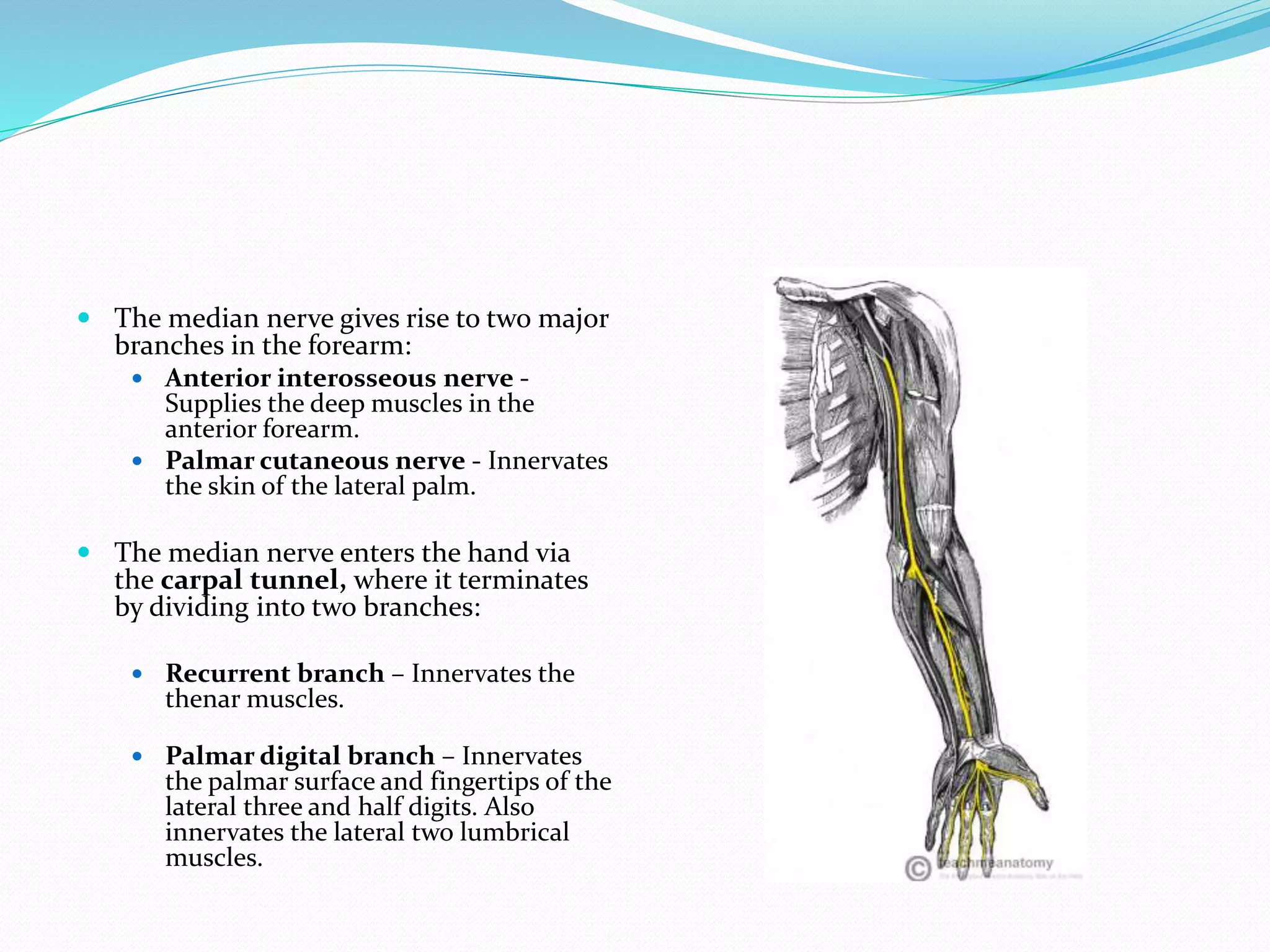 peripheral nerve injuries | PPTX