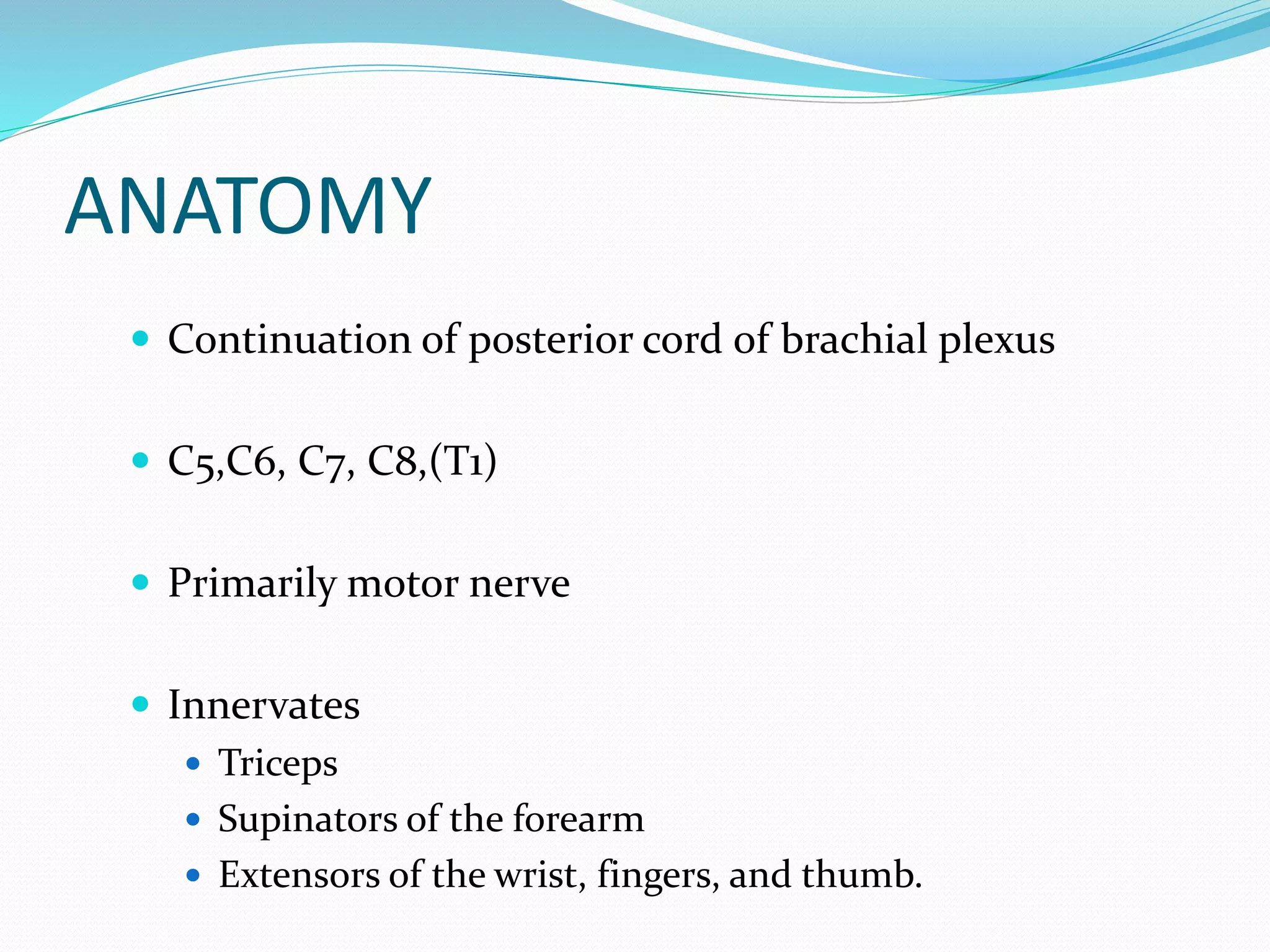 peripheral nerve injuries | PPTX