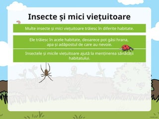 ro-ds-225-insecte-si-mici-vietuitoare-prezentare-powerpoint_ver_1.pptx