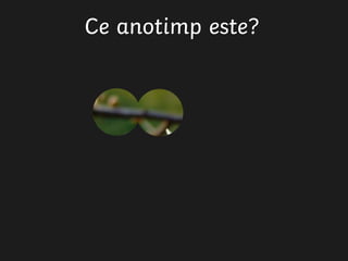 Ghiceste ce anotimp este? | PPT