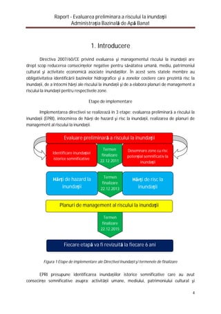 Ro1 aba banat_pfra_raport inundatii | PDF
