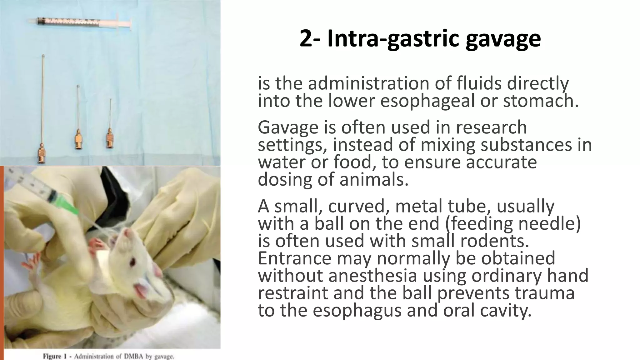 Route of administration | PPTX
