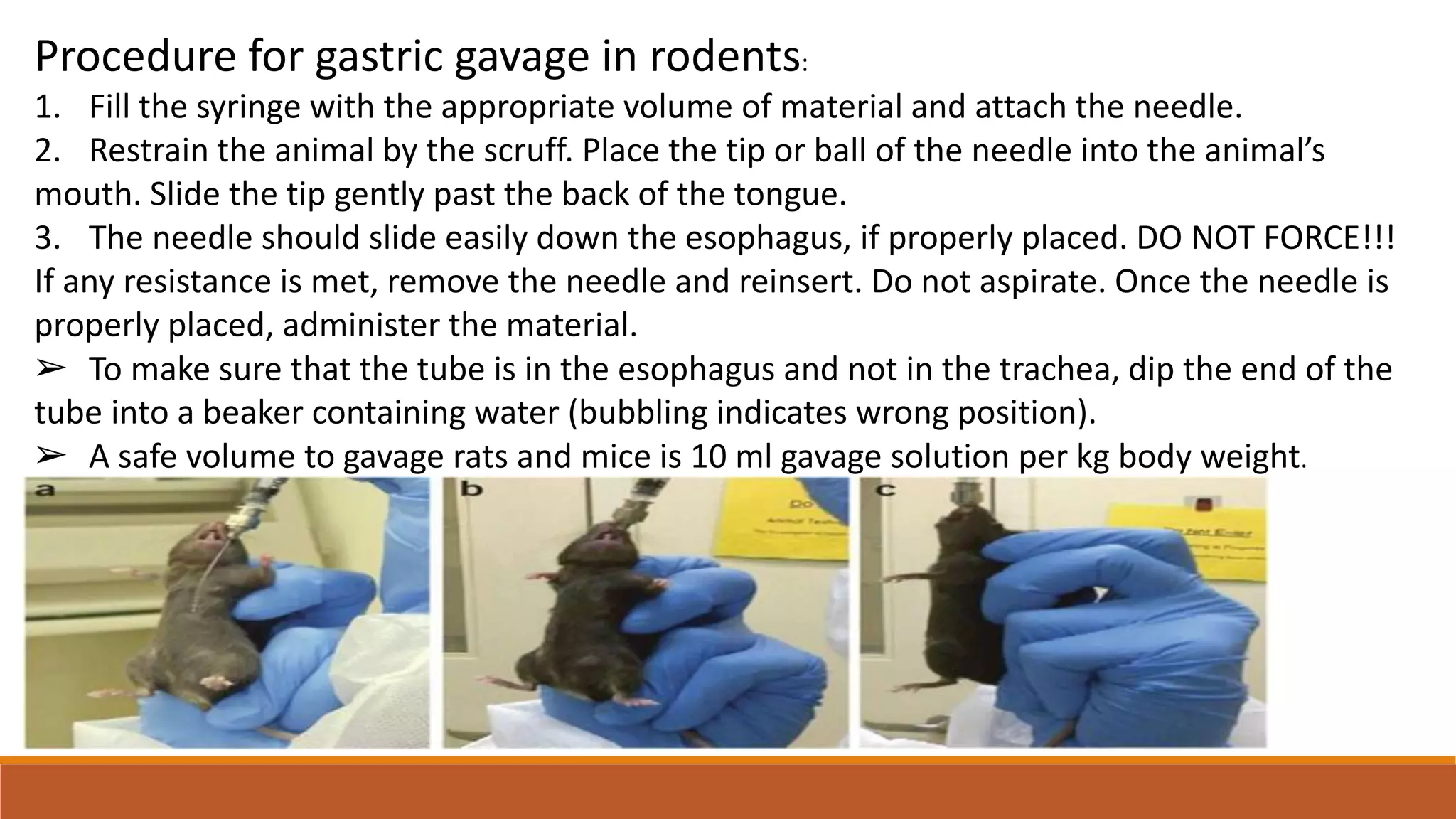 Route of administration | PPTX