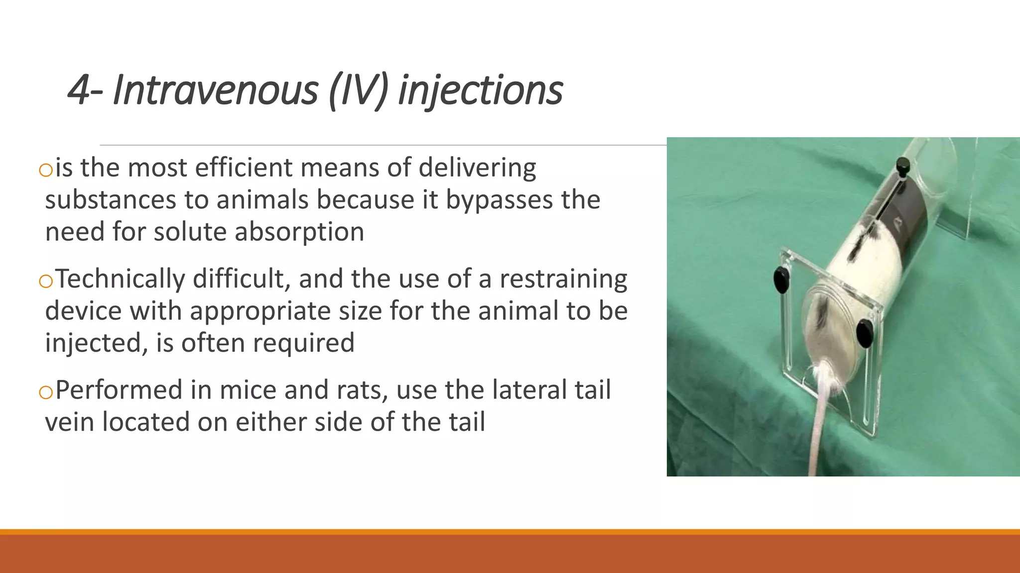 Route of administration | PPTX