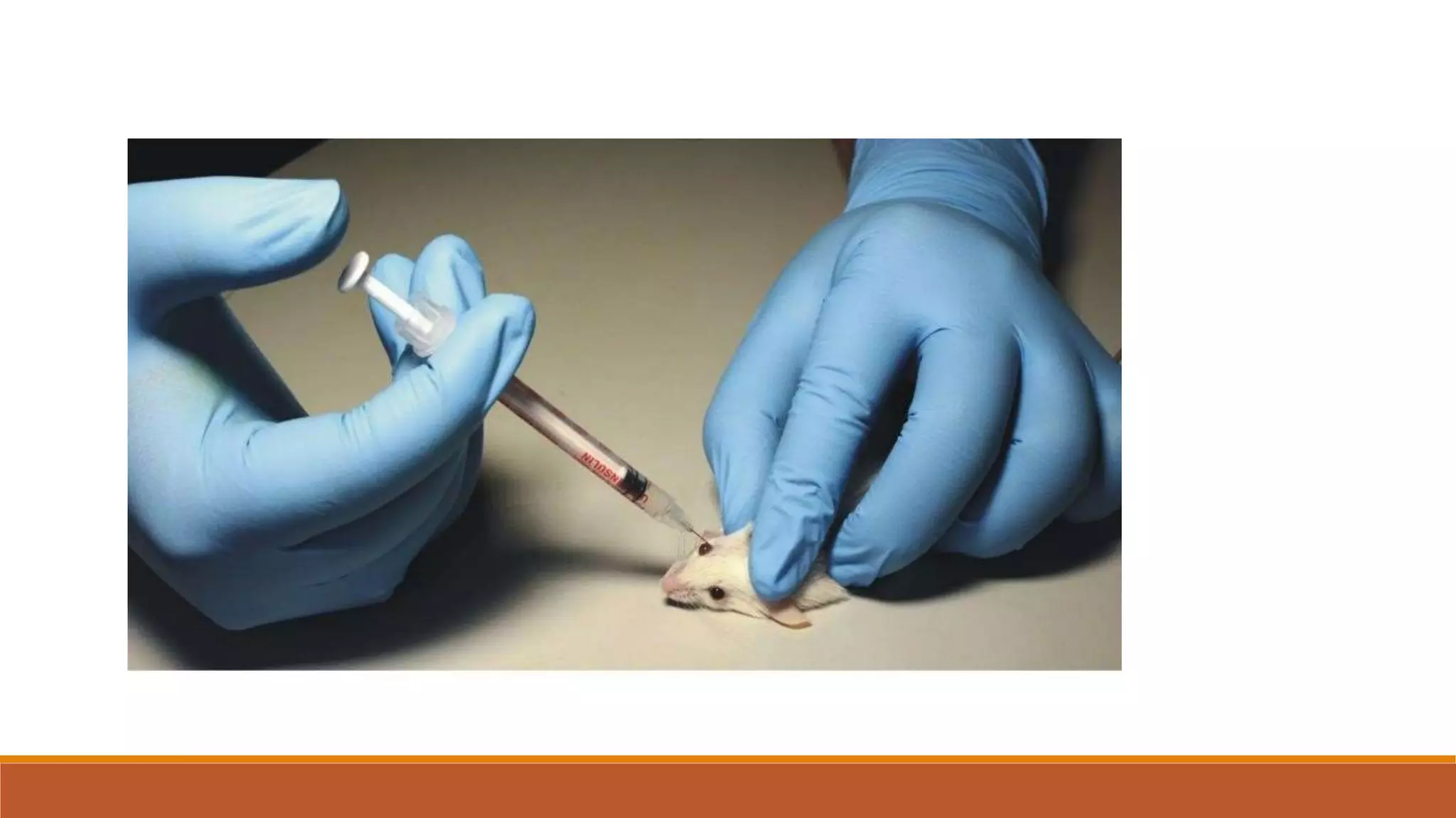 Route of administration | PPTX