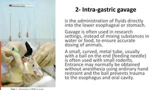 Route of administration | PPTX