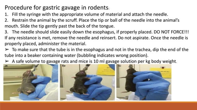 Route of administration | PPTX