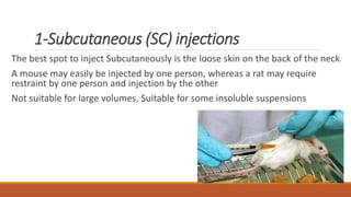 Route of administration | PPTX