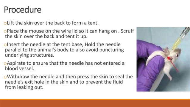 Route of administration | PPTX