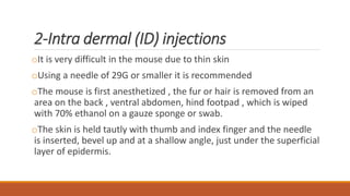 Route of administration | PPTX