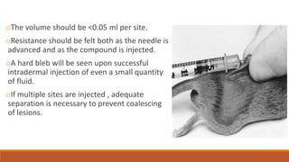 Route of administration | PPTX