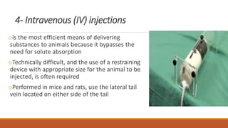 Route of administration | PPTX