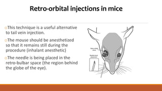 Route of administration | PPTX