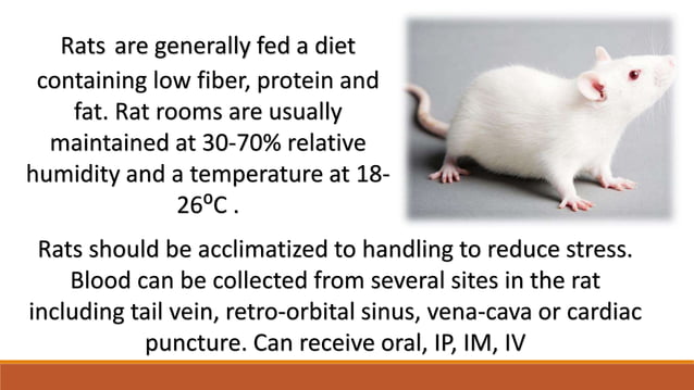 Route of administration | PPTX