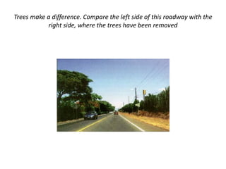 Road-Cross-Section-Elements.pdf