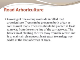 Road arboriculture | PPTX