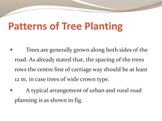 Road arboriculture | PPTX