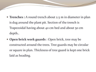 Road arboriculture | PPTX