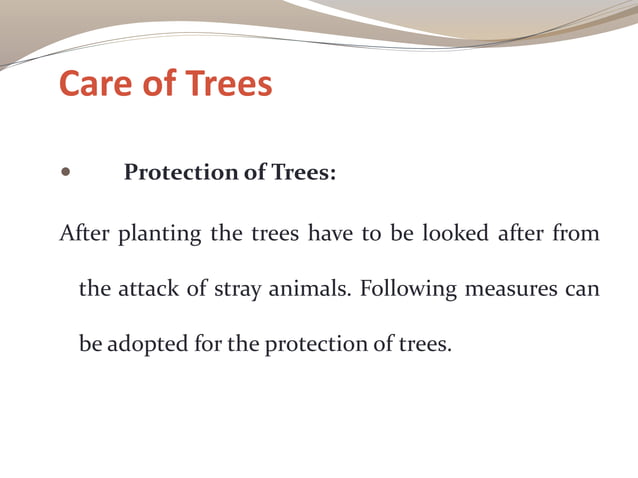 Road arboriculture | PPT