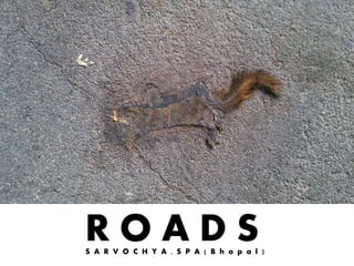 Roadkill | PPT