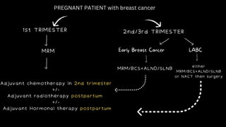 ROADMAP to BREAST CANCER IN PREGNANCY.pdf