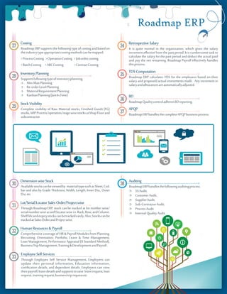 Roadmap ERP-USP | PDF