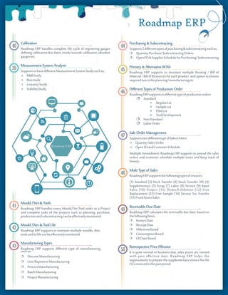 Roadmap ERP-USP | PDF