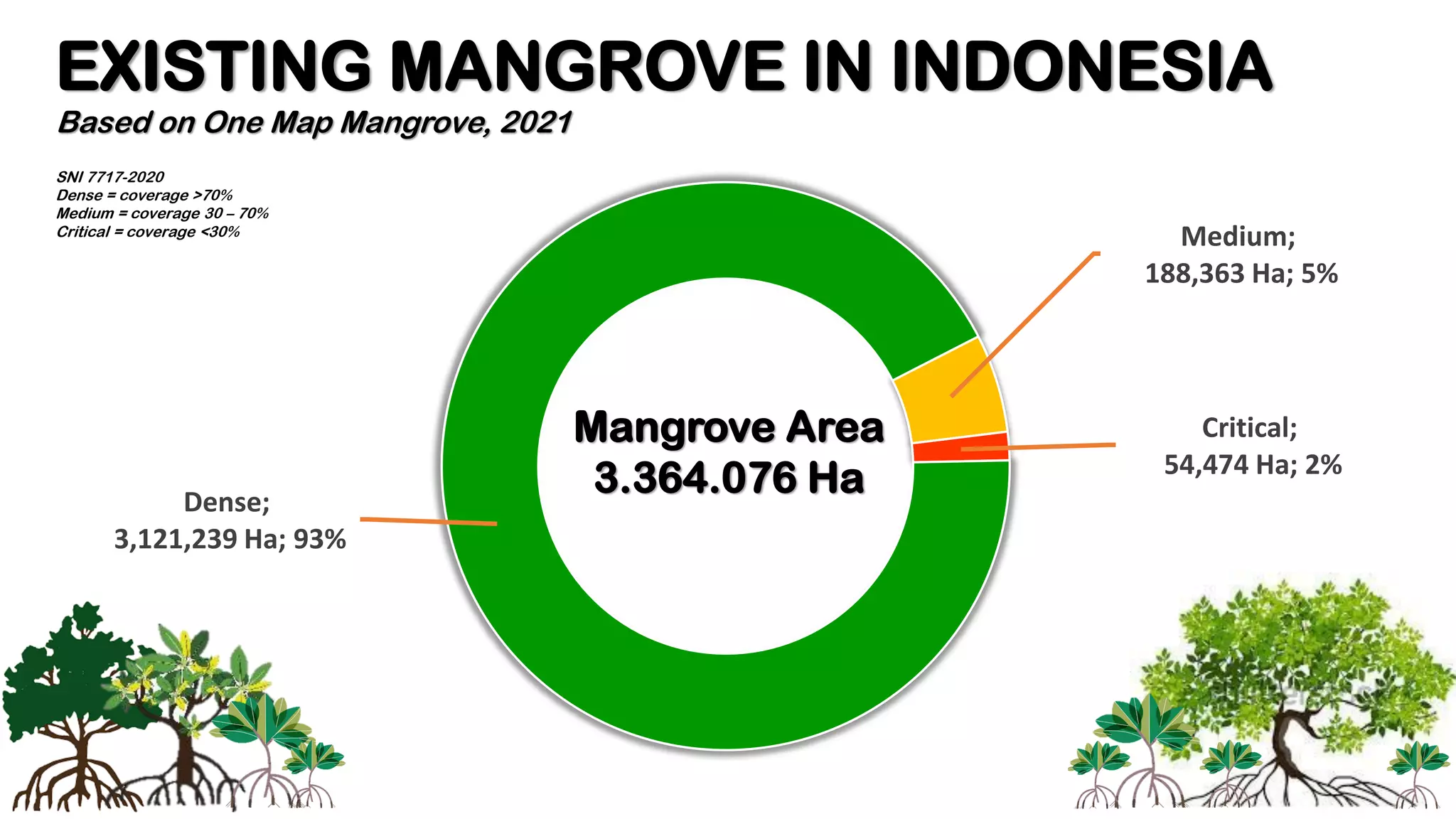 Roadmap for Mangrove Management | PDF