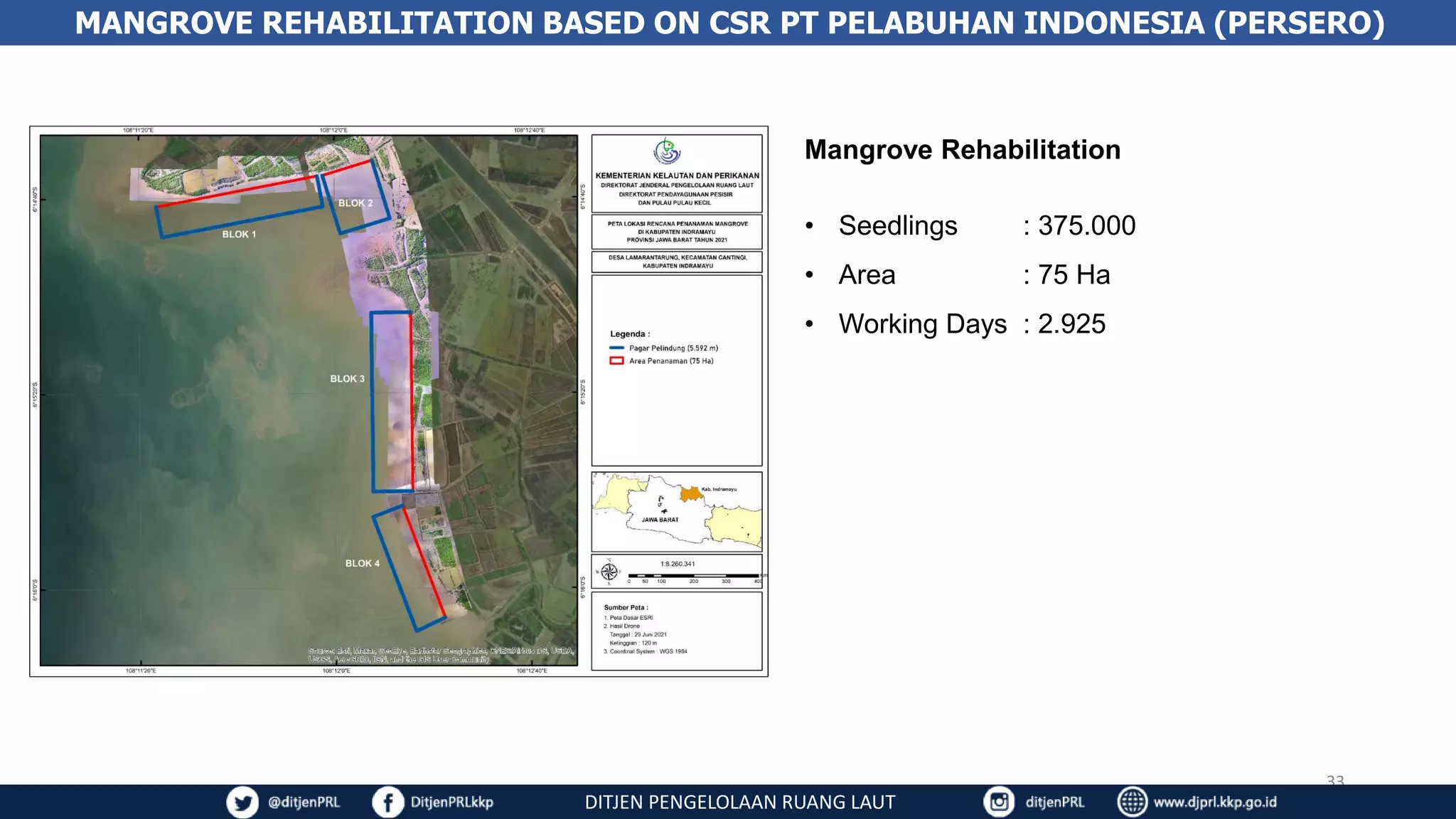 Roadmap for Mangrove Management | PDF