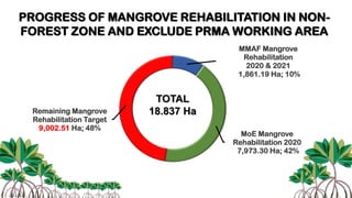 Roadmap for Mangrove Management | PDF