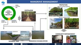 Roadmap for Mangrove Management | PDF