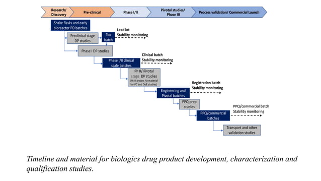Roadmap for Drug Product Development and Manufacturing of Biologics ...