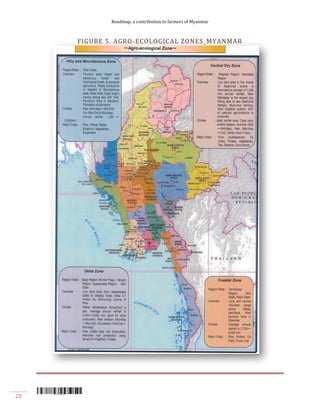 Roadmap of EU Office, Myanmar Corn Farmers' Association | PDF