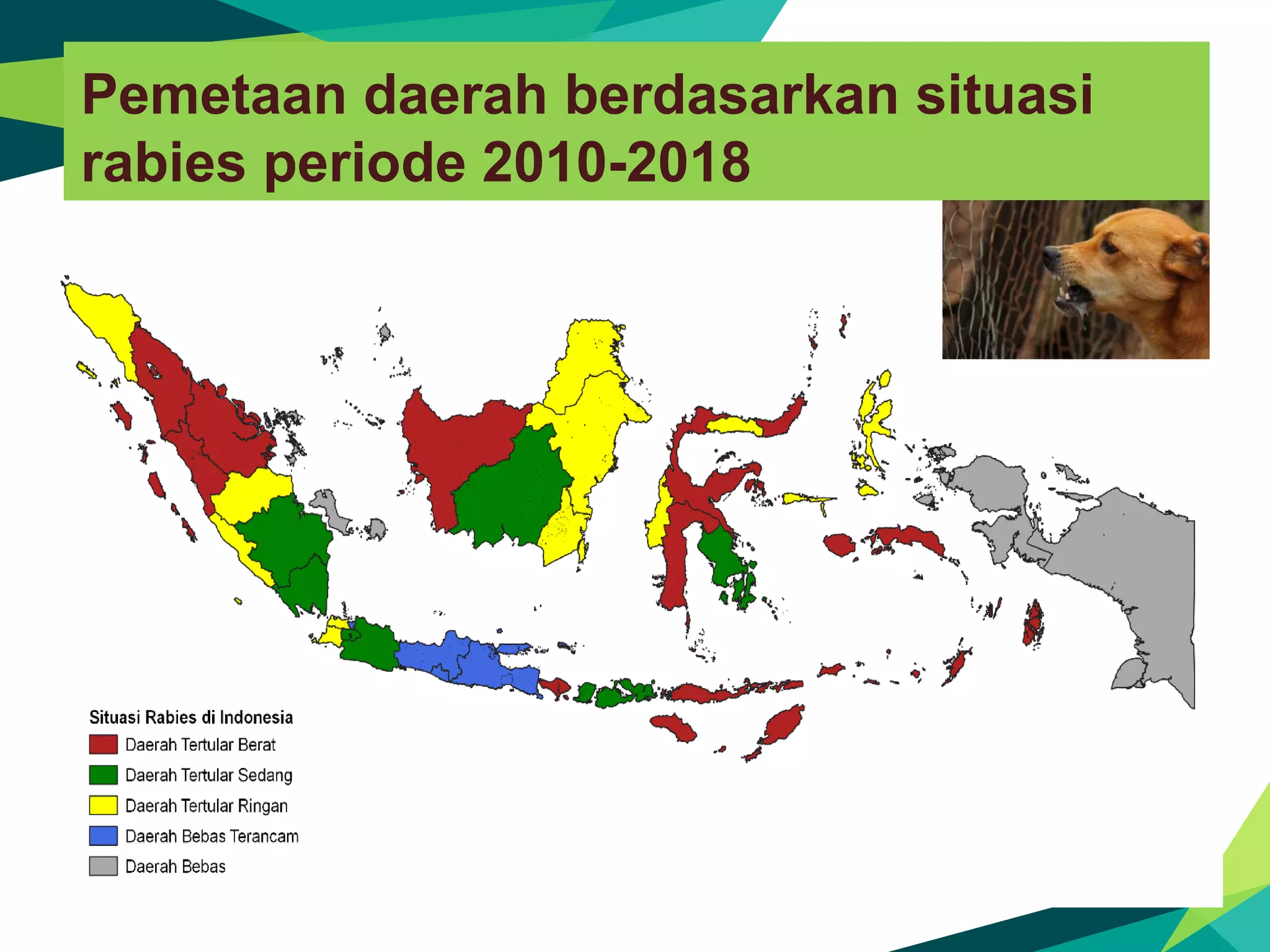 Roadmap Pembebasan Rabies Menuju Indonesia Bebas Rabies 2030 - PUSVETMA ...