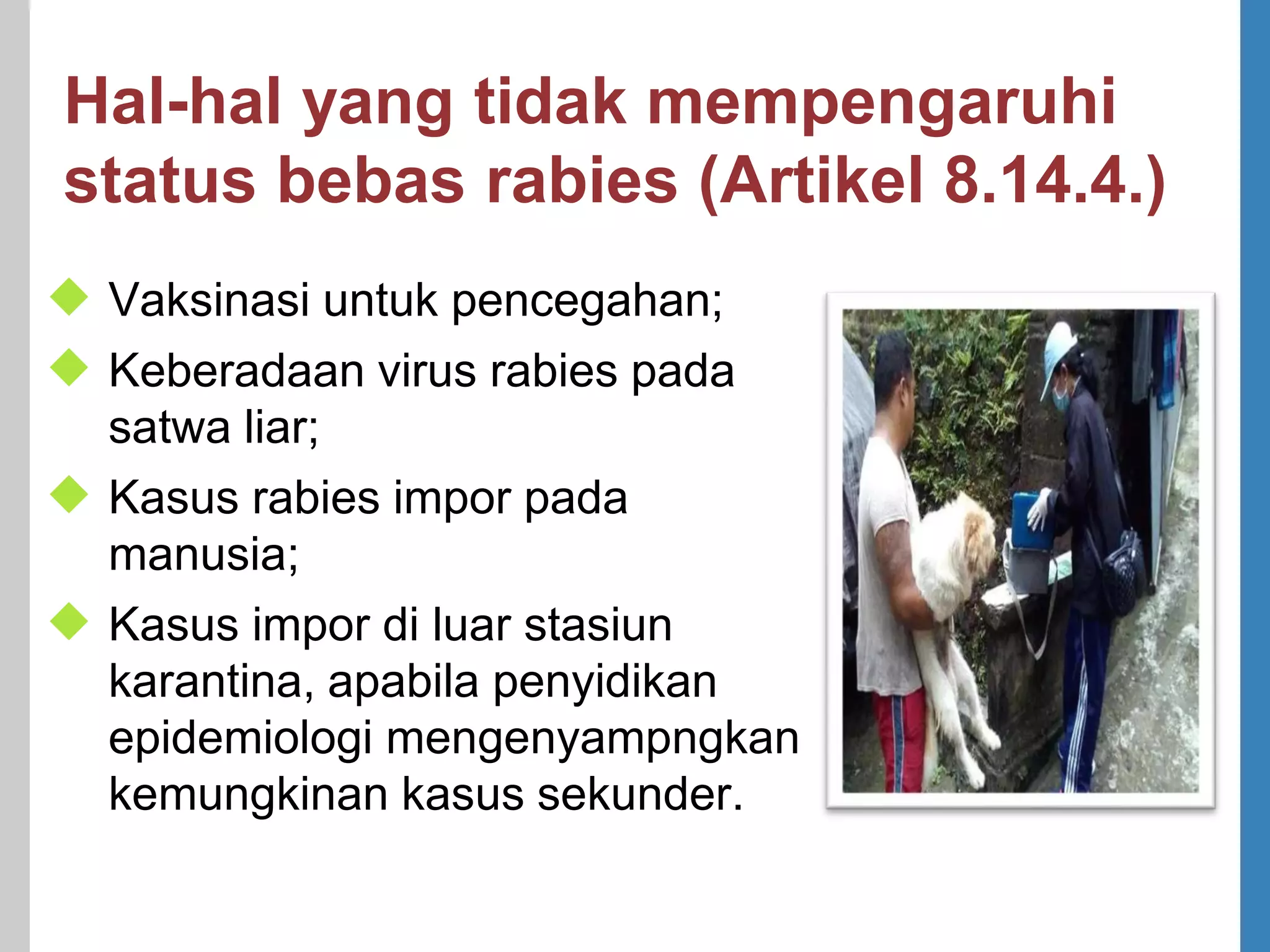 Roadmap Pembebasan Rabies Menuju Indonesia Bebas Rabies 2030 - PUSVETMA ...