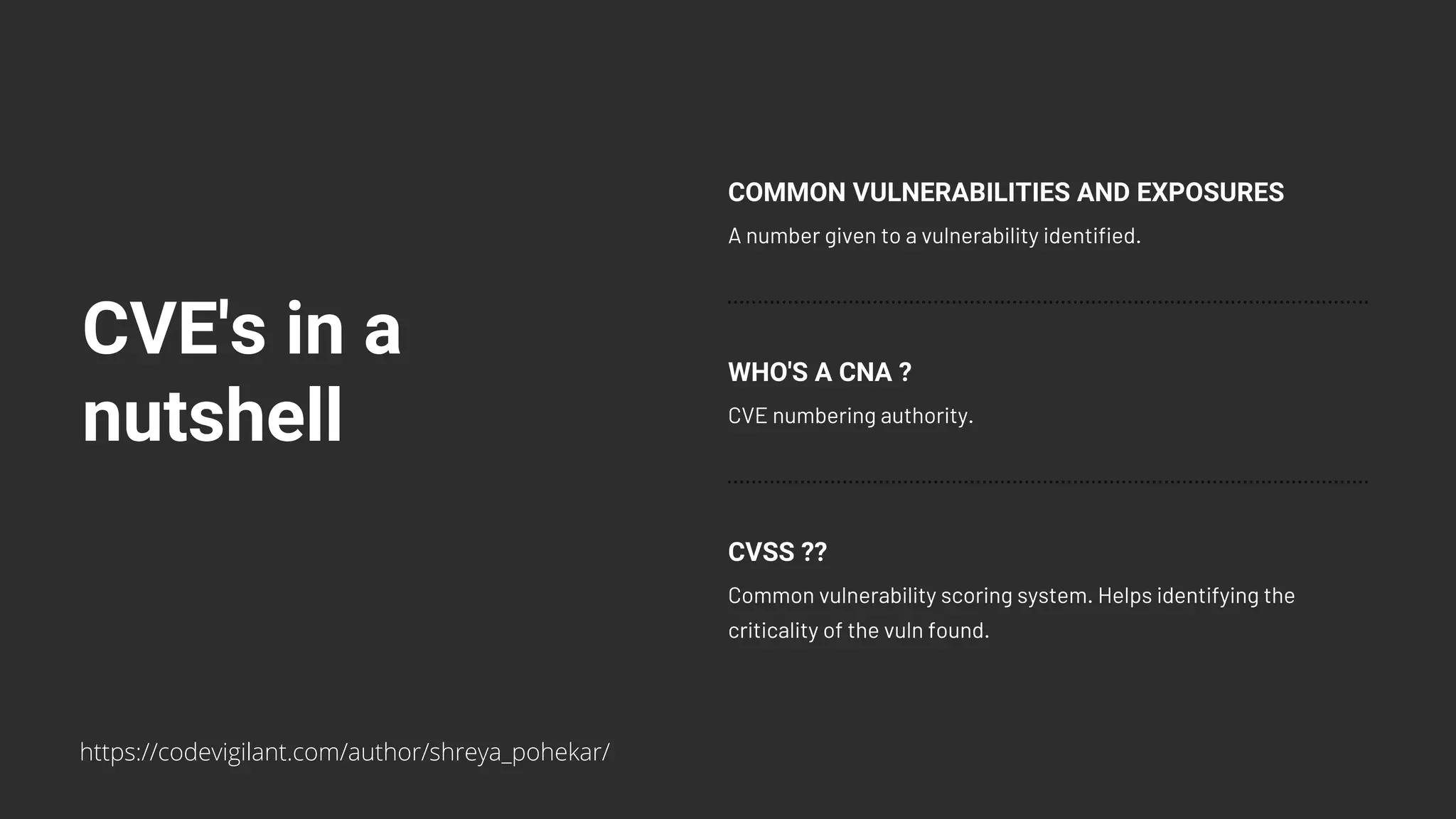 Road map to getting your first cve | PDF