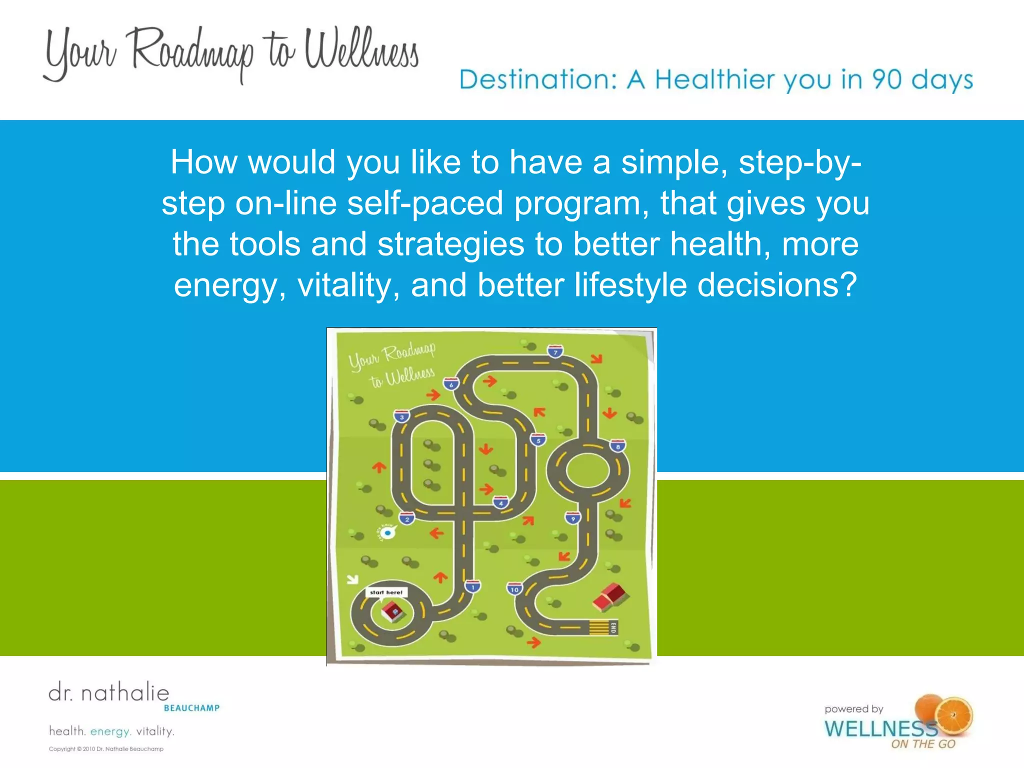 Roadmap To Wellness Synopsis | PPT