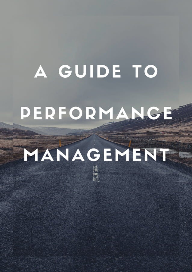 A Guide To Performance Management | PDF