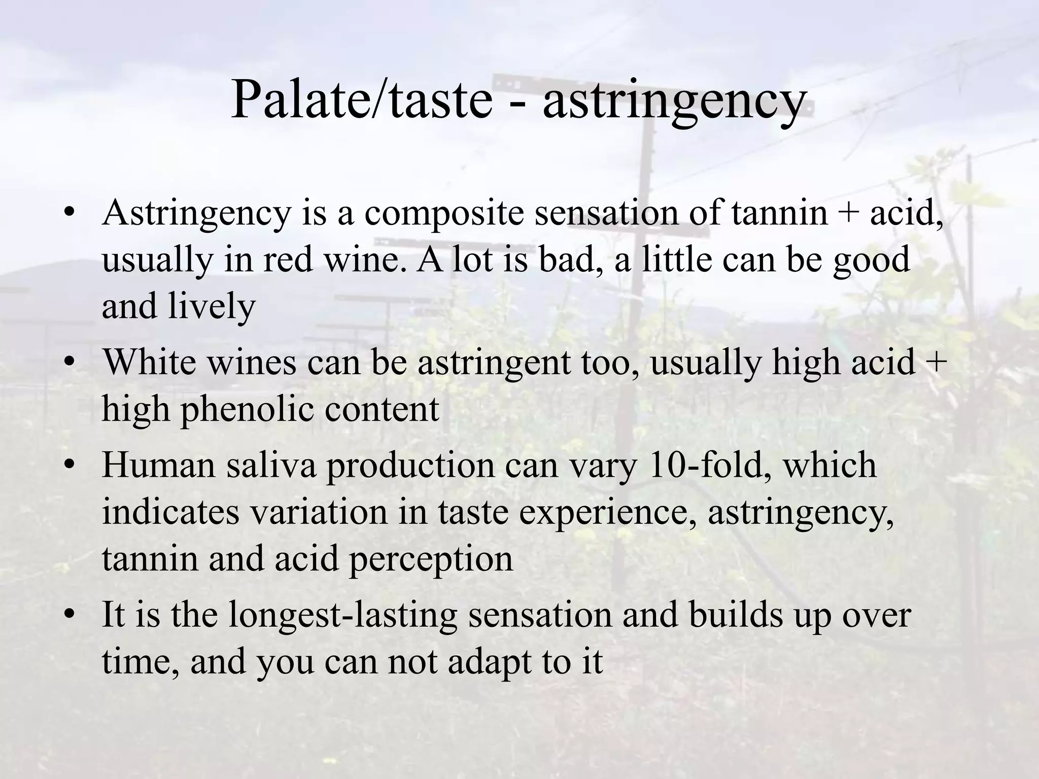 Intro to Wine Tasting and Winemaking Seminar | PPTX