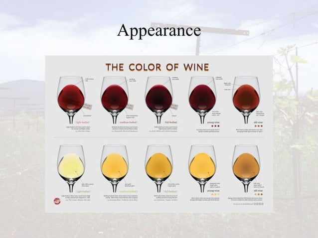 Intro to Wine Tasting and Winemaking Seminar | PPTX