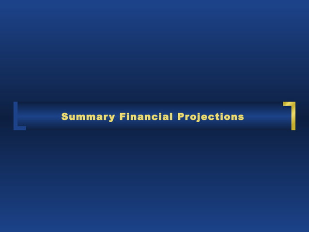 Roadshow Presentation V090308 | PPT