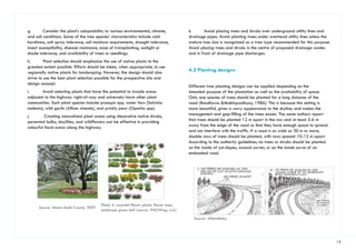 ROADSIDE-TREE-PLANTING-MANUAL-Web.pdf