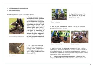 ROADSIDE-TREE-PLANTING-MANUAL-Web.pdf