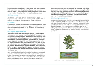 ROADSIDE-TREE-PLANTING-MANUAL-Web.pdf