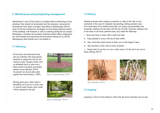 ROADSIDE-TREE-PLANTING-MANUAL-Web.pdf