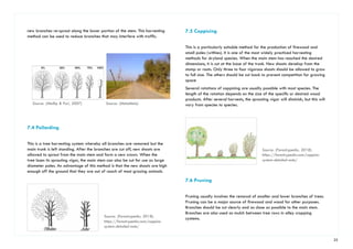 ROADSIDE-TREE-PLANTING-MANUAL-Web.pdf