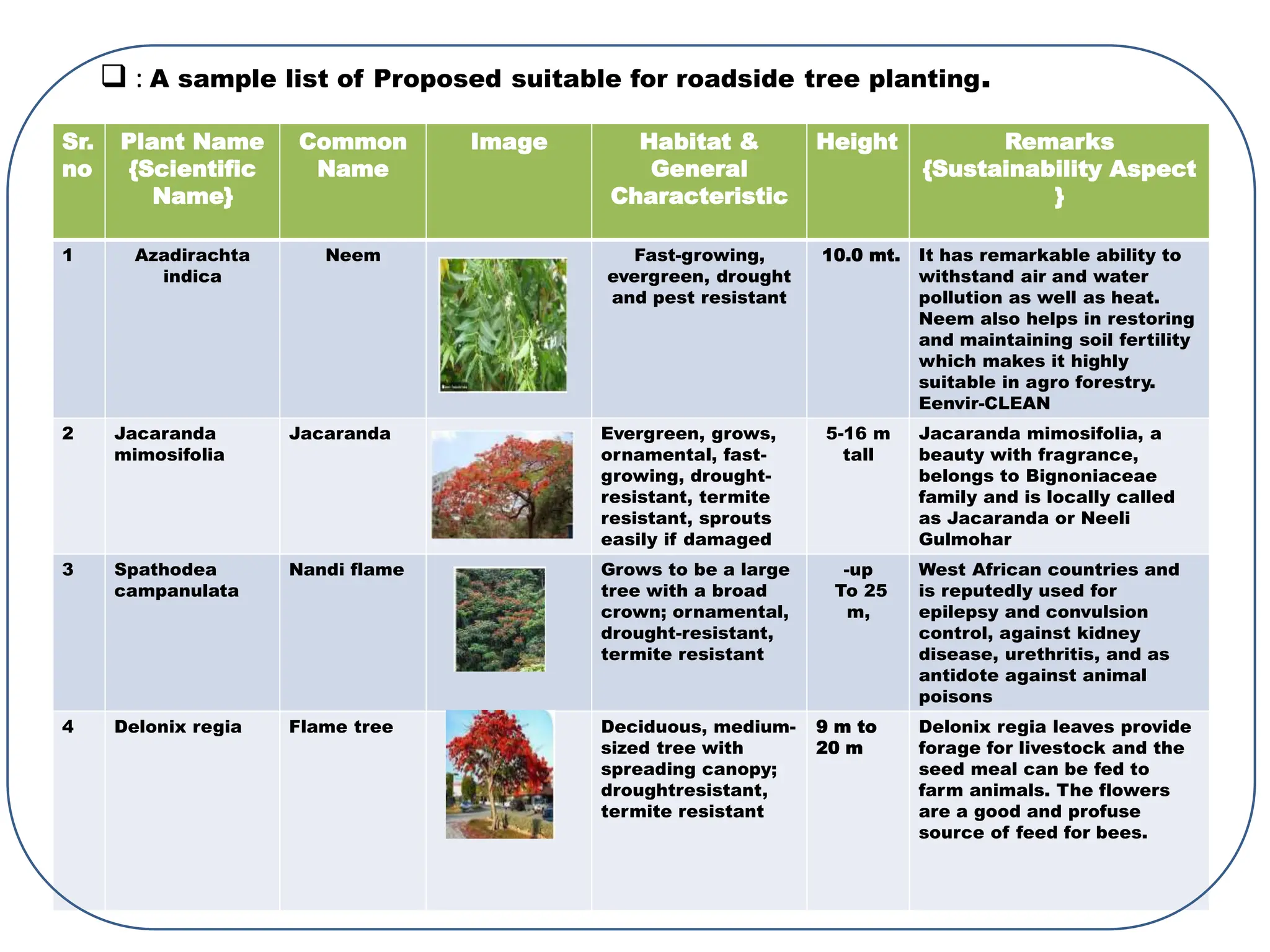 ROAD SIDE TREE PLANTING IN LANDCAPE..pdf
