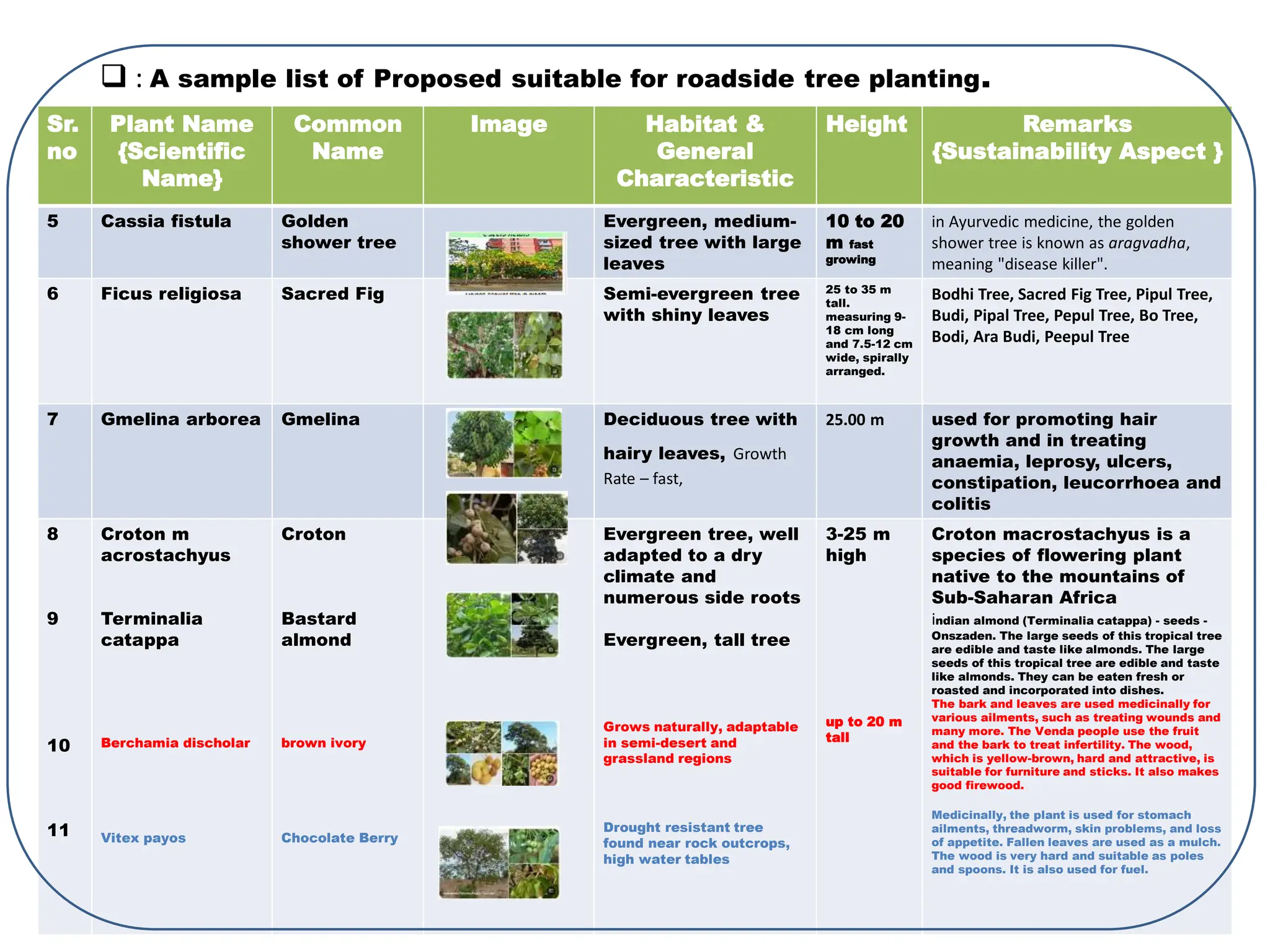 ROAD SIDE TREE PLANTING IN LANDCAPE..pdf
